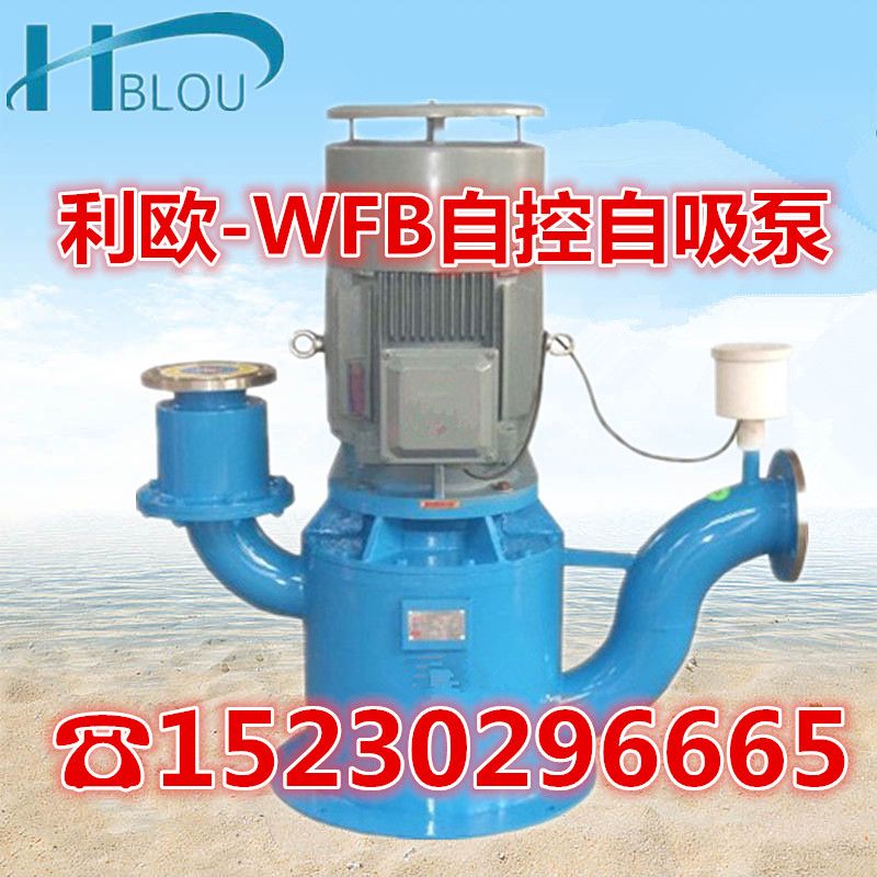 利欧50WFB-AD立式自控自吸泵化工泵清水泵真空泵 - 河北利欧水泵 - 九正建材网